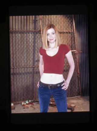 Buffy The Vampire Slayer Alyson Hannigan Emma Caulfield Transparency ...