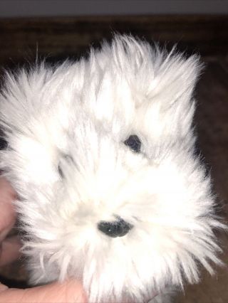 American Girl Doll Pet Dog Coconut With Collar And Name Tag | #37579456